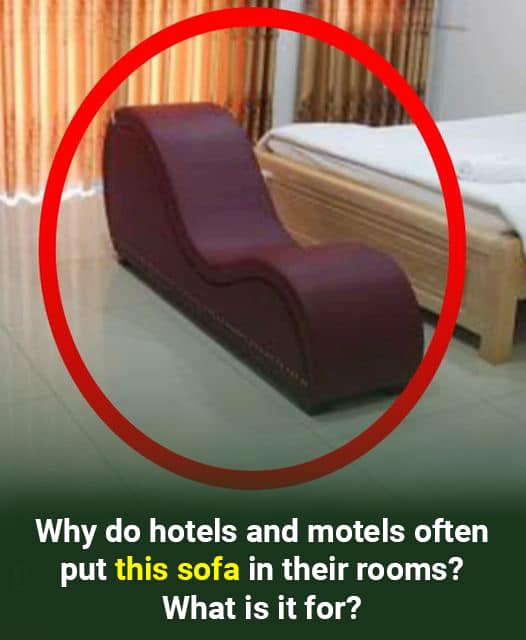 Why do hotels and motels often put this sofa in their rooms? What is it ...