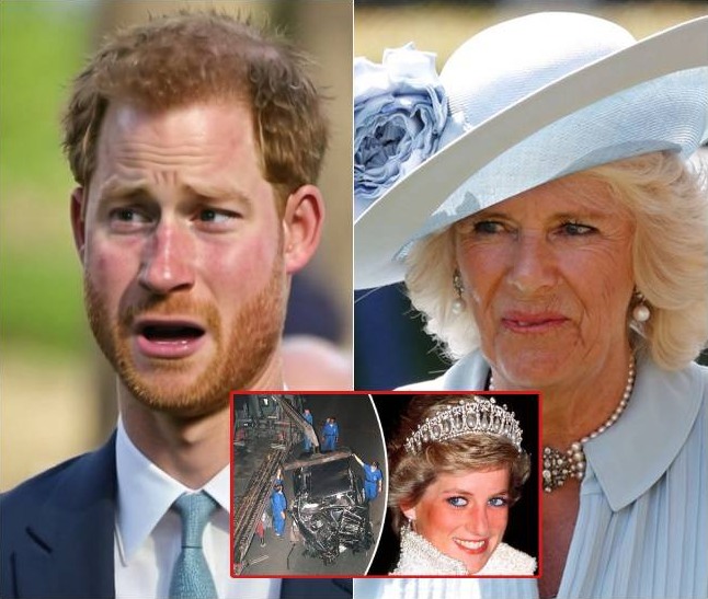 “Breaking: King Charles Reveals Devastating News About Prince Harry in the U.S. — Meghan’s ...