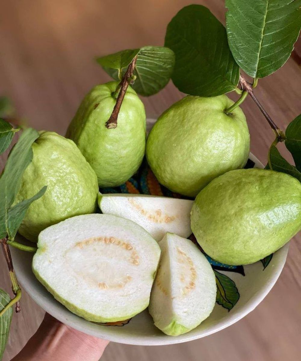 Eating guava regularly helps you avoid facing…. - About America